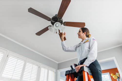 Ceiling Fan Installation & Repair in Tampa, FL
